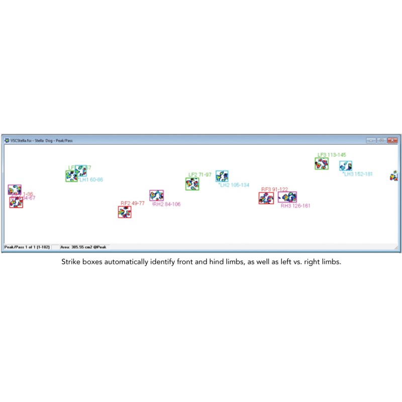 System Strideway Tekscan