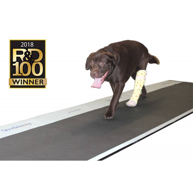 System Strideway Tekscan