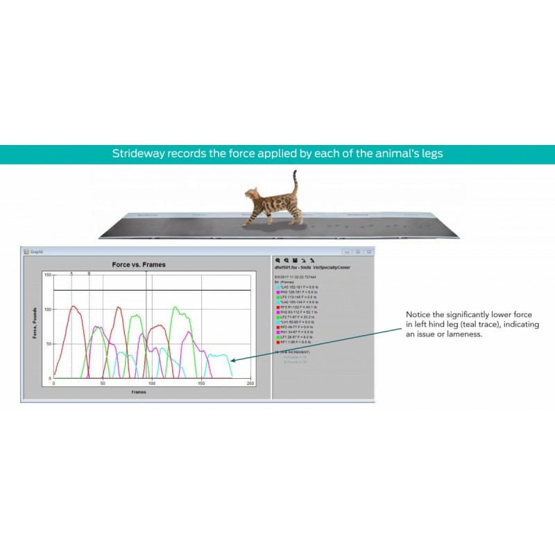 System Strideway Tekscan