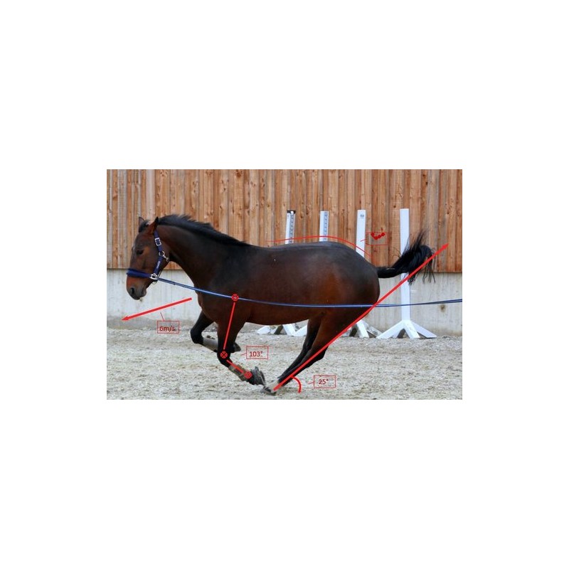 System analizy ruchu Simi Motion Vet